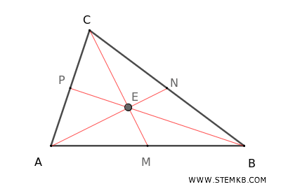 Understanding Triangles in Geometry - Andrea Minini